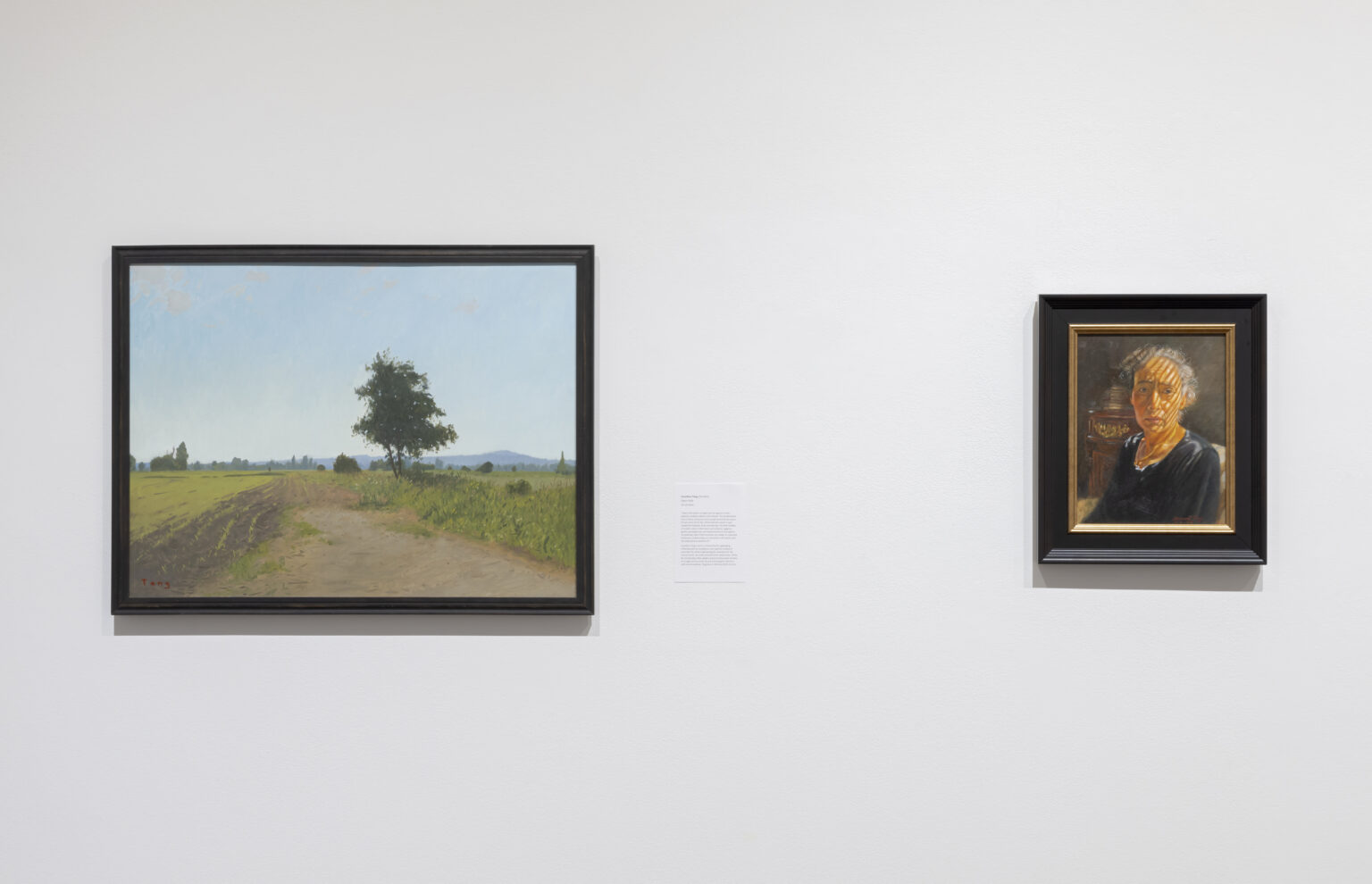 Juried Show of Visual Arts | Art Gallery Mississauga